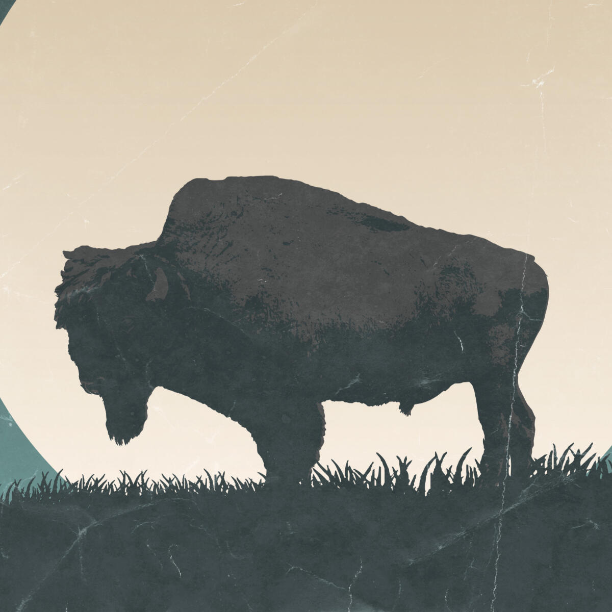 Strange Frontier: Buffalo Collection